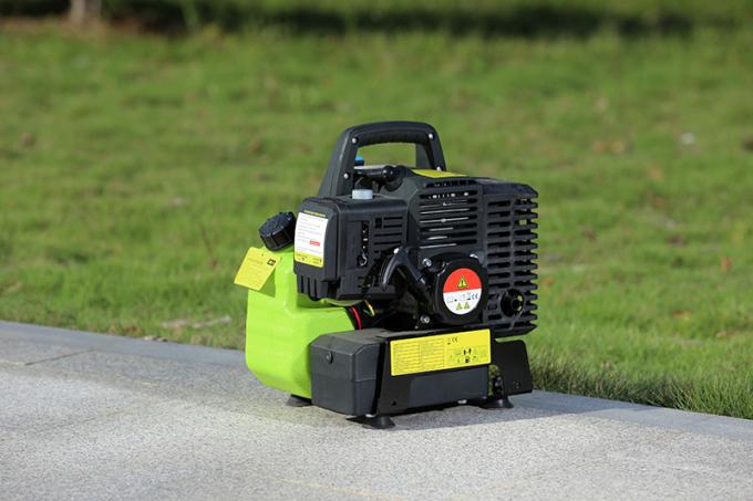 1kVA 2 Stroke 1000W Diesel Inverter Natural Gas Generator